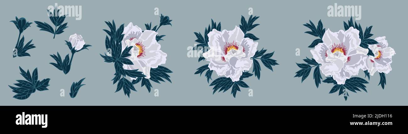 Peony flowers and leaves Stock Vector Image & Art - Alamy