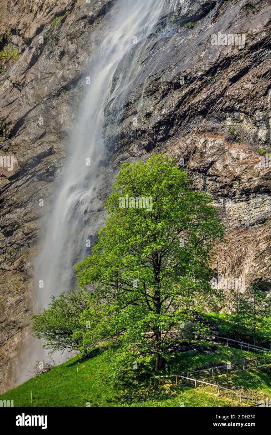 Staubbach waterfall, Lauterbrunnen, Canton of Bern, Switzerland Stock ...