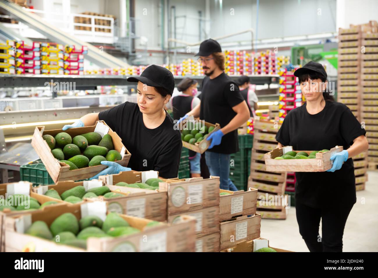 Young woman working at fruit warehouse Stock Photo - Alamy