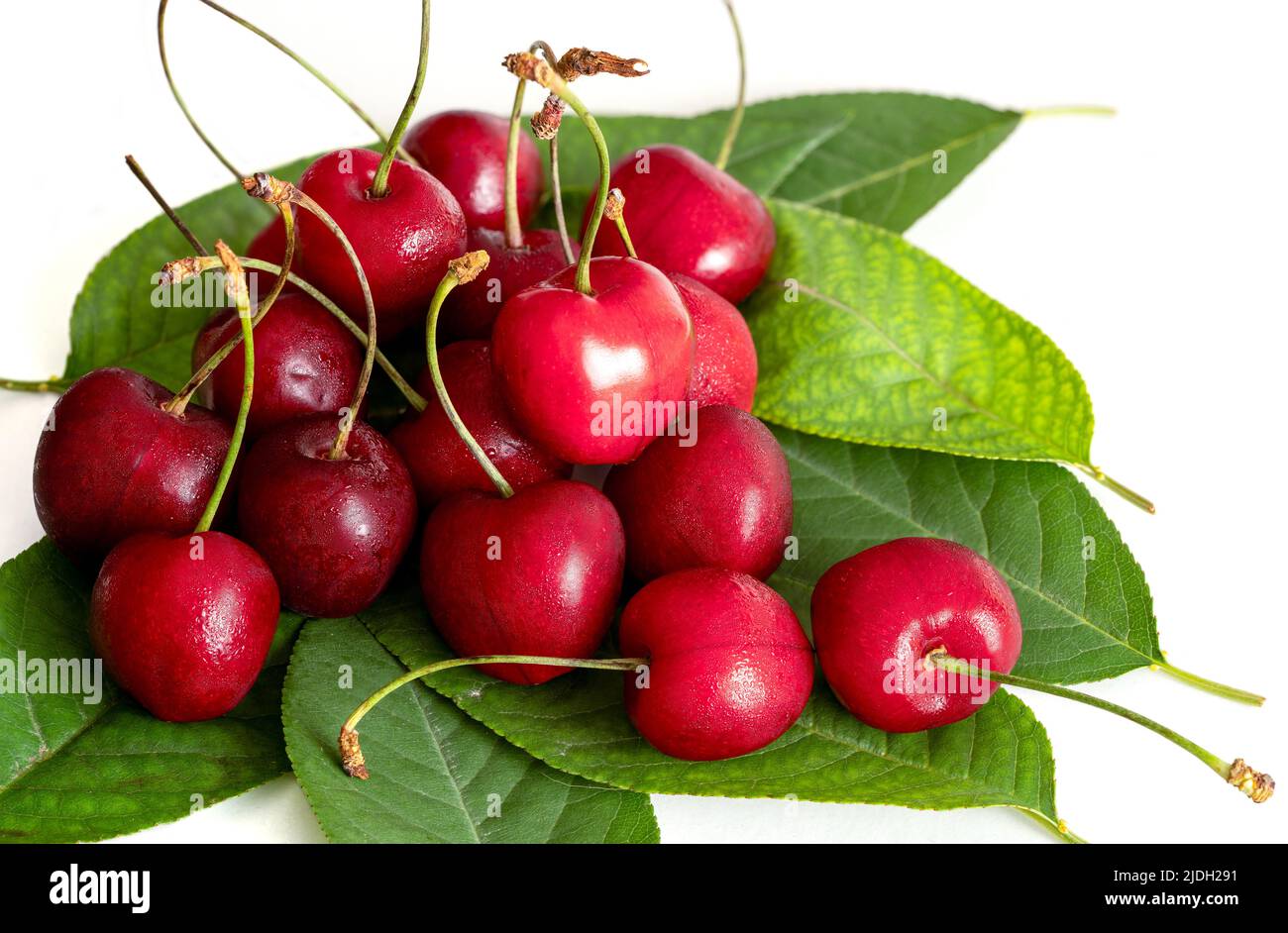 Close up photo of sour cherry on isolated white background Stock Photo ...