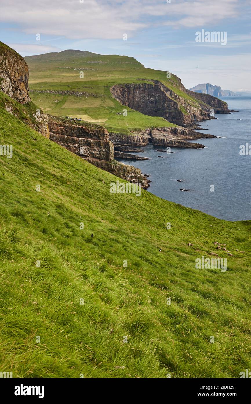 Mykines cliffs and lighthouse on Faroe islands. Hiking landmark ...