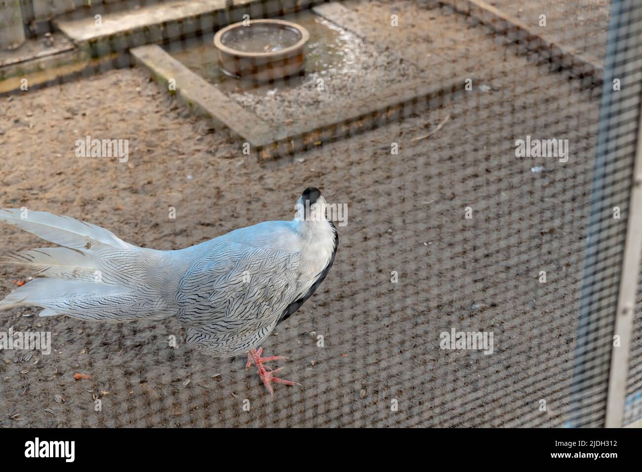 Labuan, Malaysia-June 10, 2021: View of the Labuan Bird Park is a bird ...