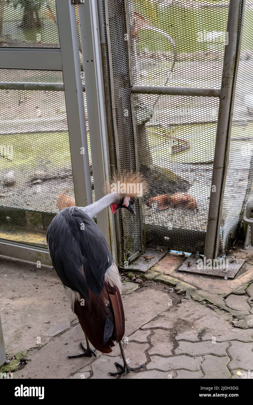 Labuan, Malaysia-June 10, 2021: View of the Labuan Bird Park is a bird ...