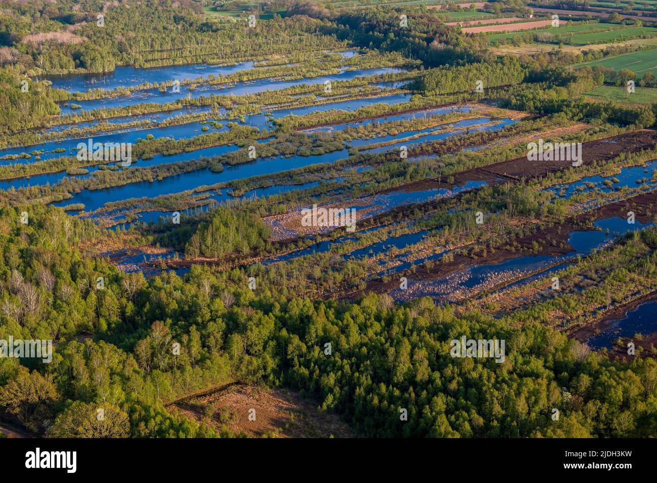 Blunk hi-res stock photography and images - Alamy