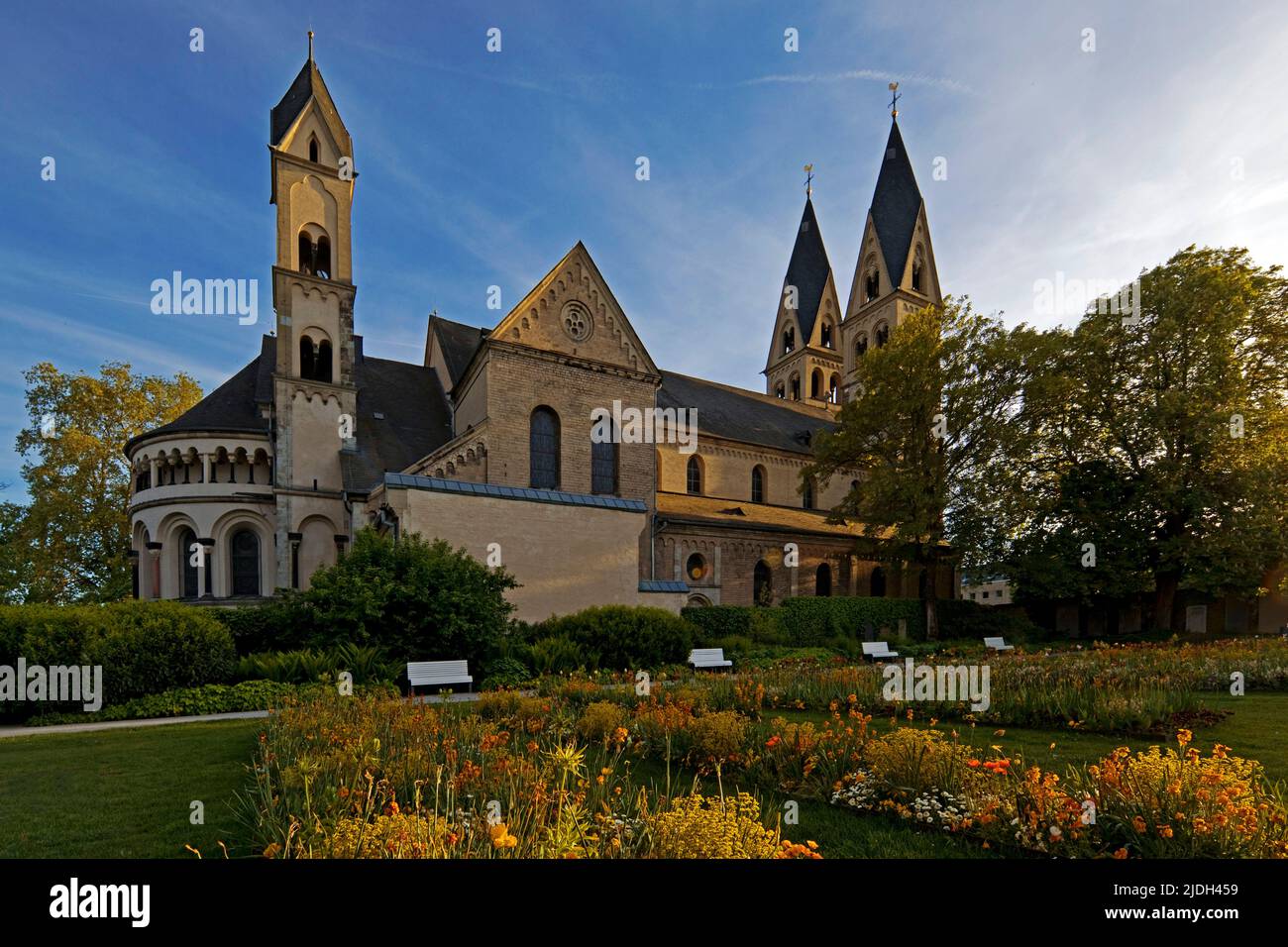 Flower yard and Basilica of St. Castor , Germany, Rhineland-Palatinate ...