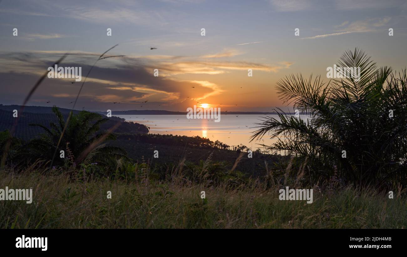 Colorful sunset near Kalangala (Ssese Islands, Uganda) on lake Victoria ...