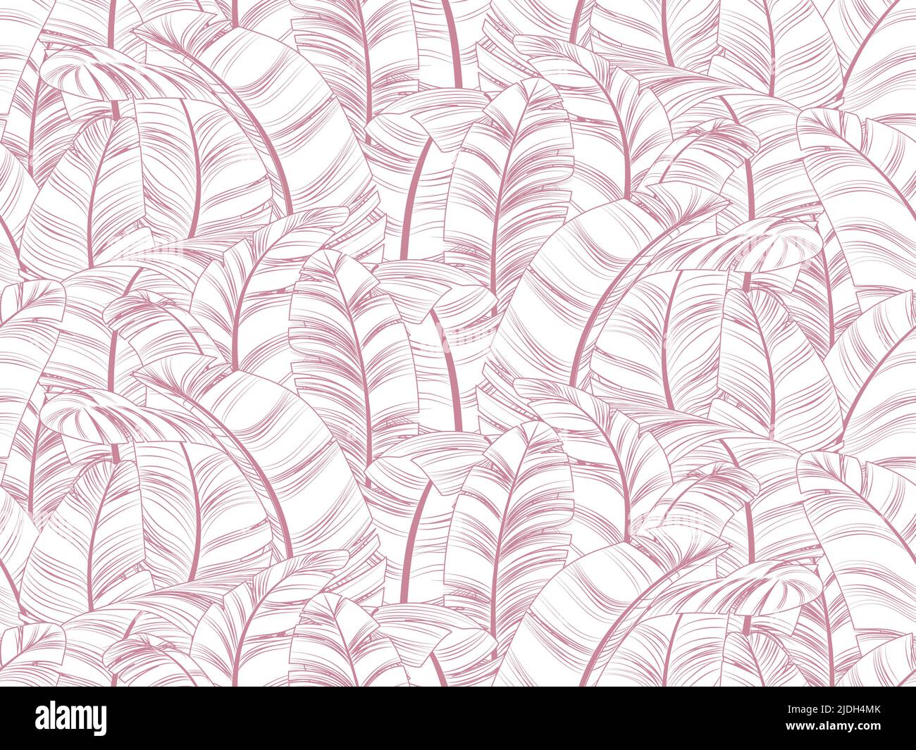 Feathers seamless pattern. Pink plume. Contour flamingo plumage ...