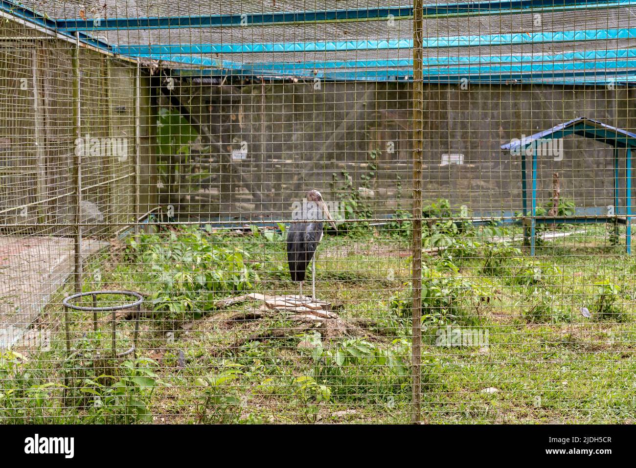 Labuan, Malaysia-June 10, 2021: View of the Labuan Bird Park is a bird ...