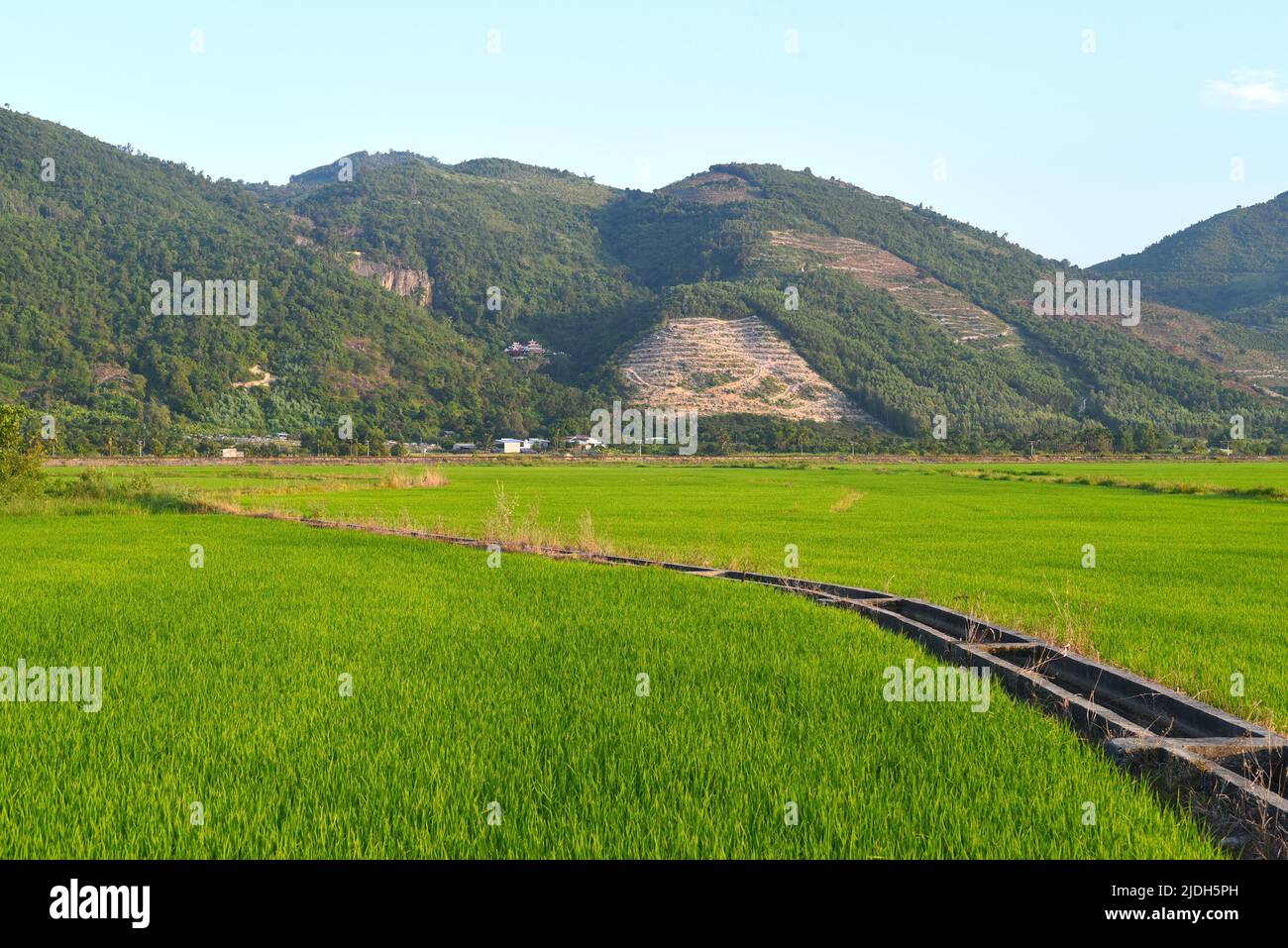 Rural landscape with rice fields in Vietnam Stock Photo - Alamy