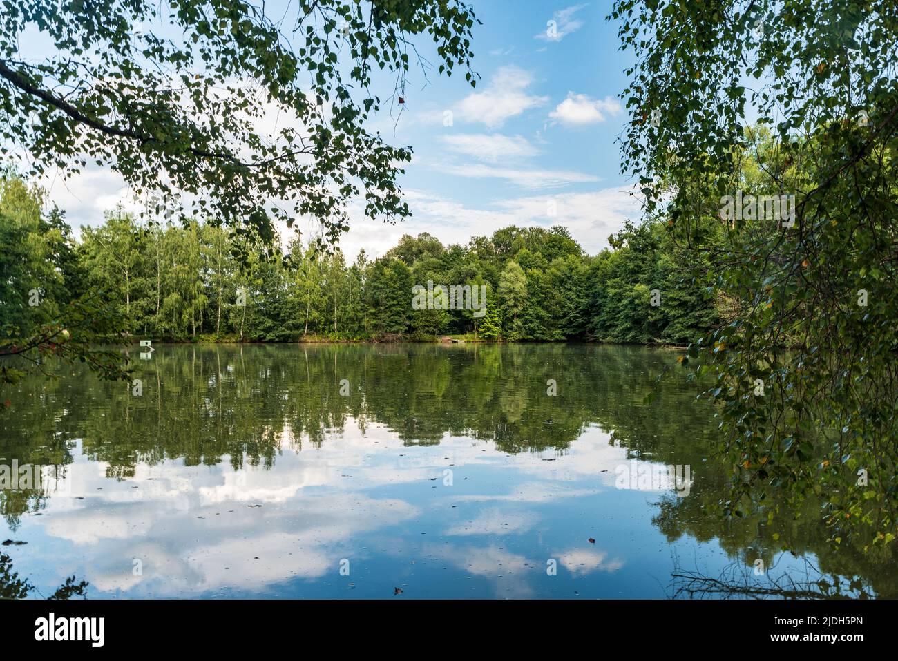 Beautiful and tranquil scenery of lake with trees around and mirroring ...