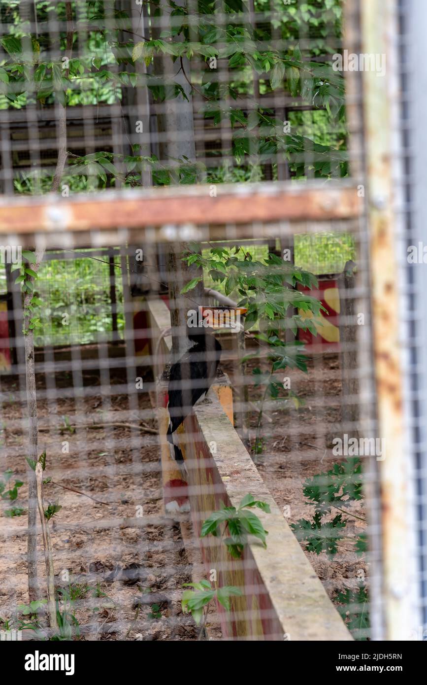 Labuan, Malaysia-June 10, 2021: View of the Labuan Bird Park is a bird ...