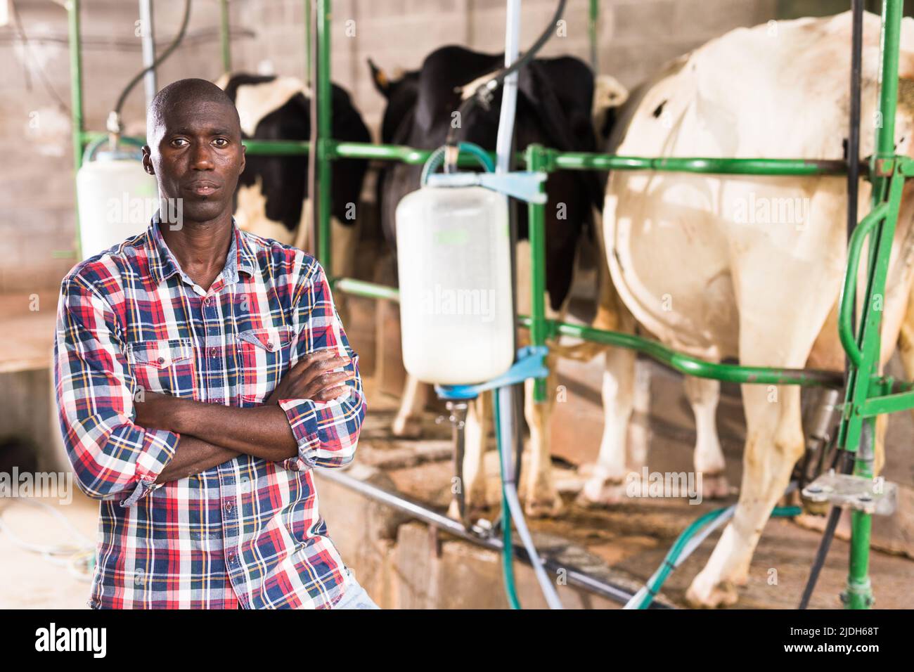 Portrait of farmer man staning near cow milking machines indoor at farm ...