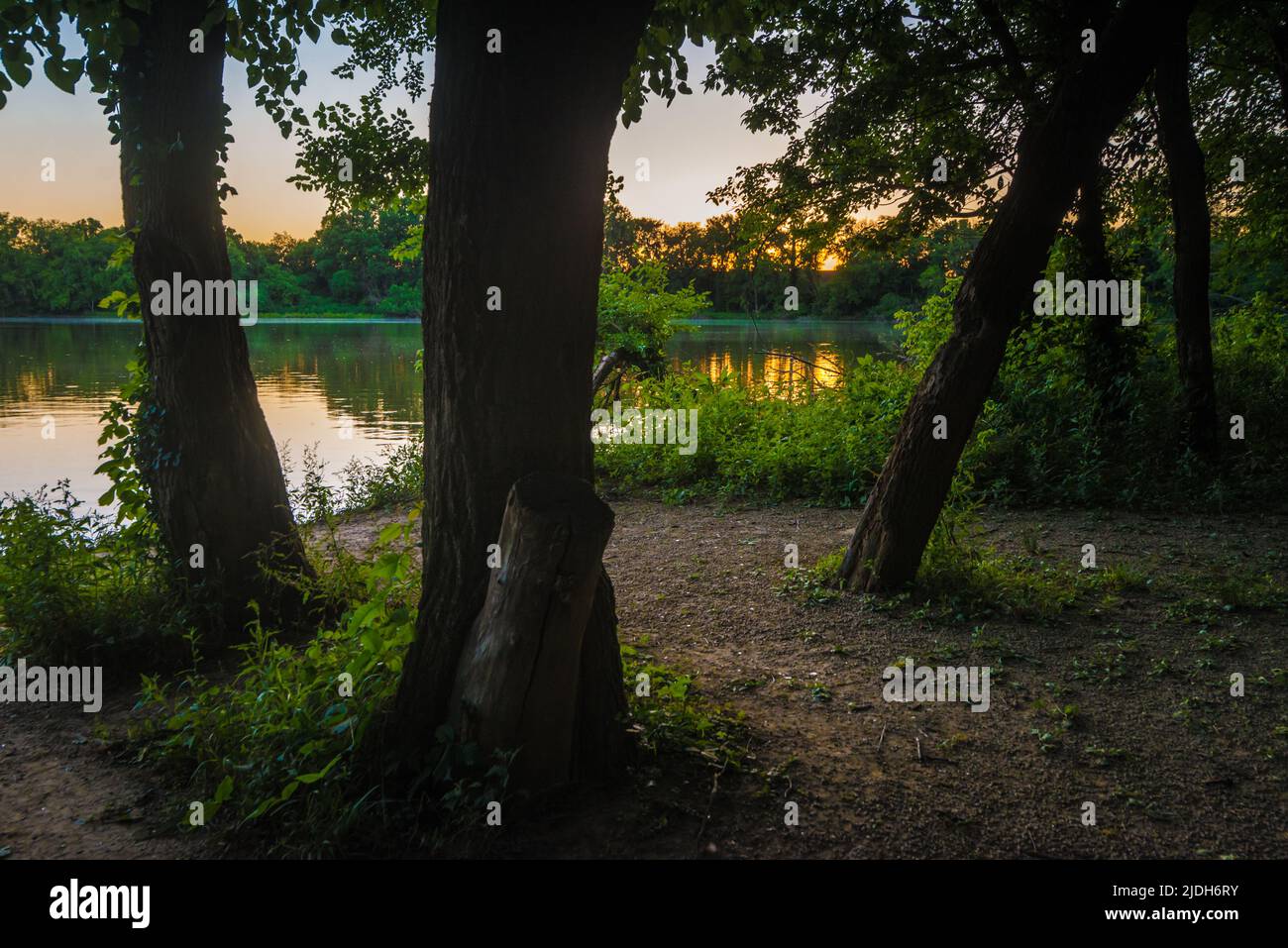 Loop island wetlands hi-res stock photography and images - Alamy