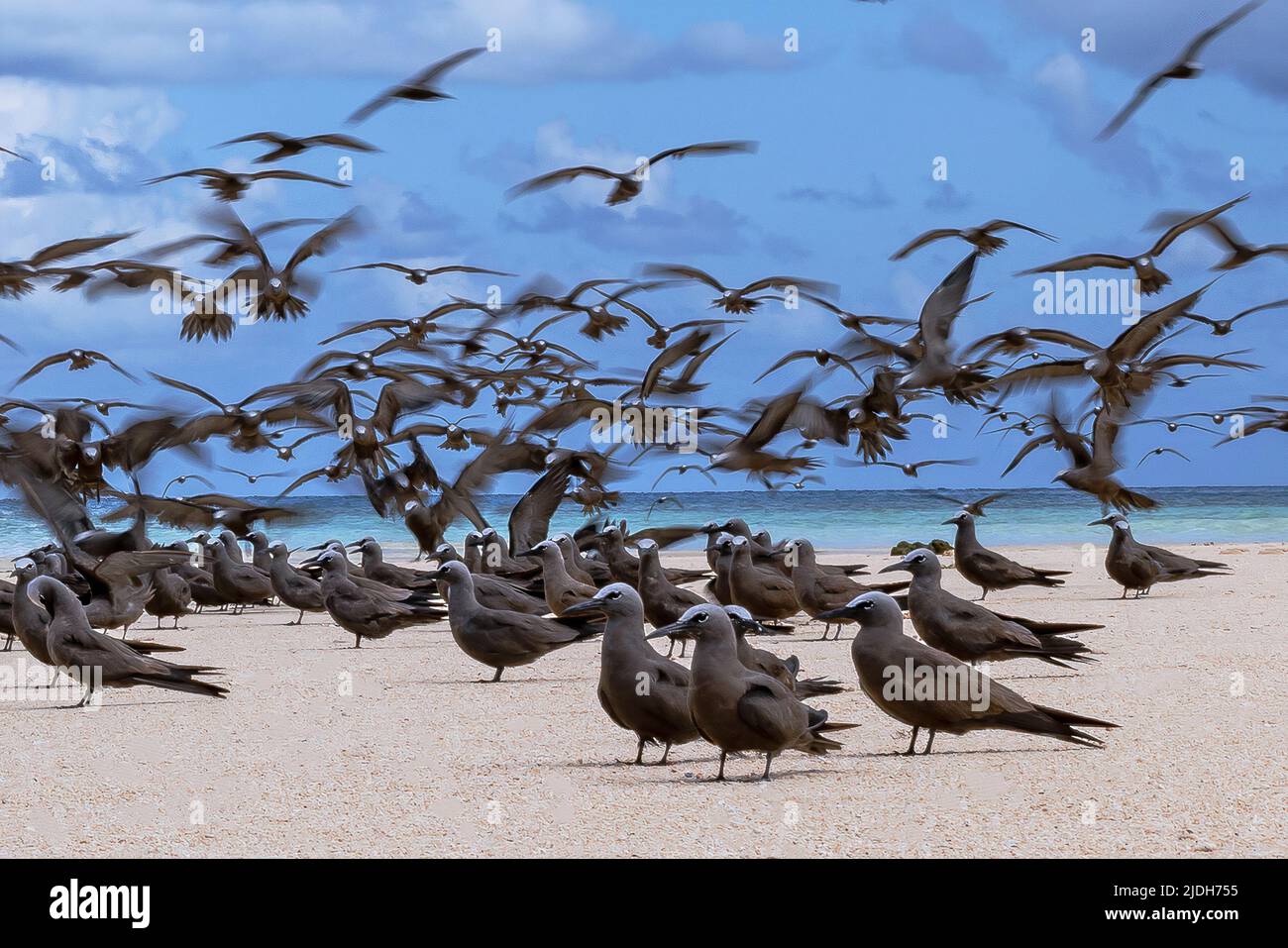 Biodiversity mayotte hi-res stock photography and images - Alamy
