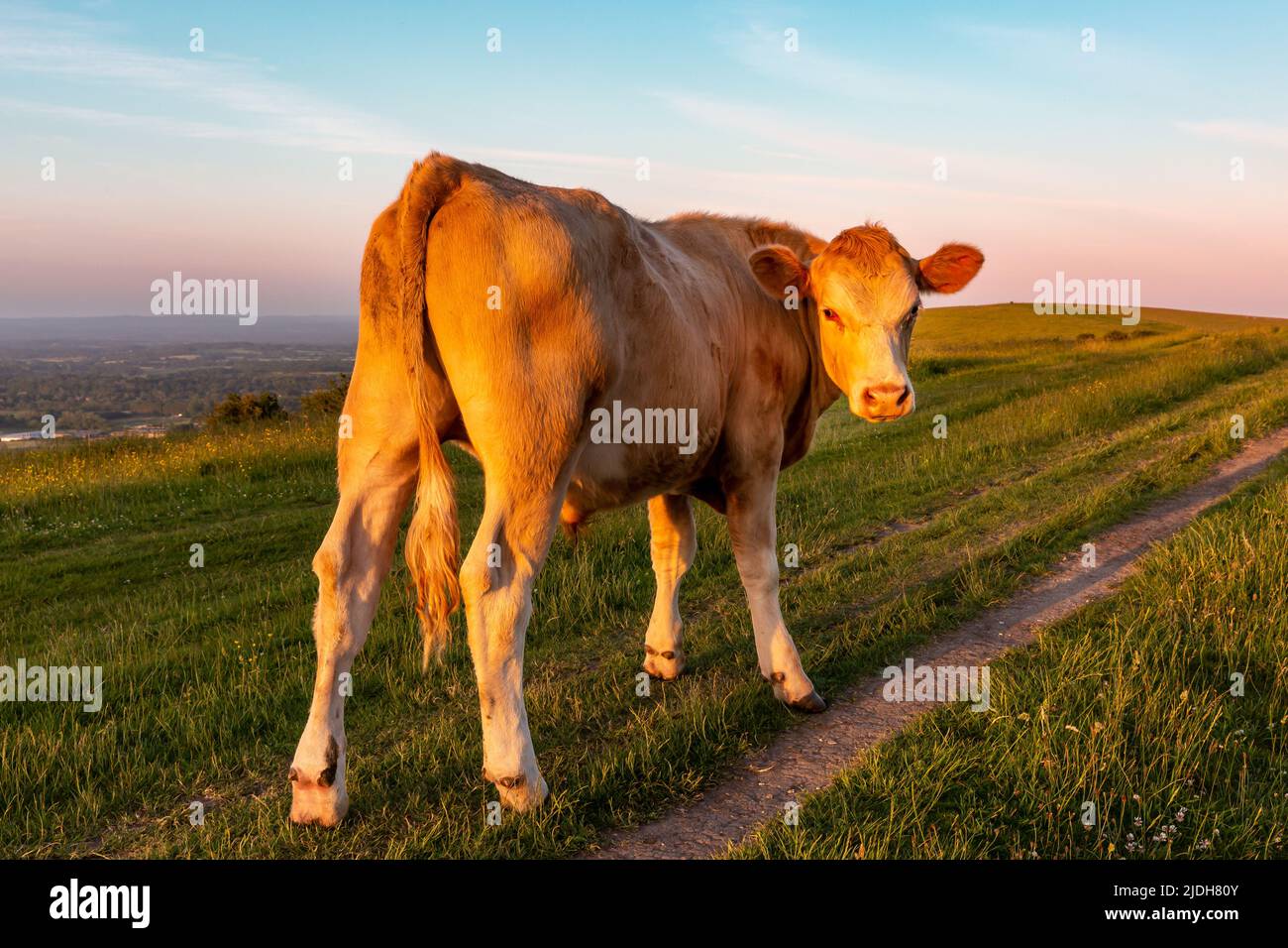 Camera beacon hi-res stock photography and images - Alamy