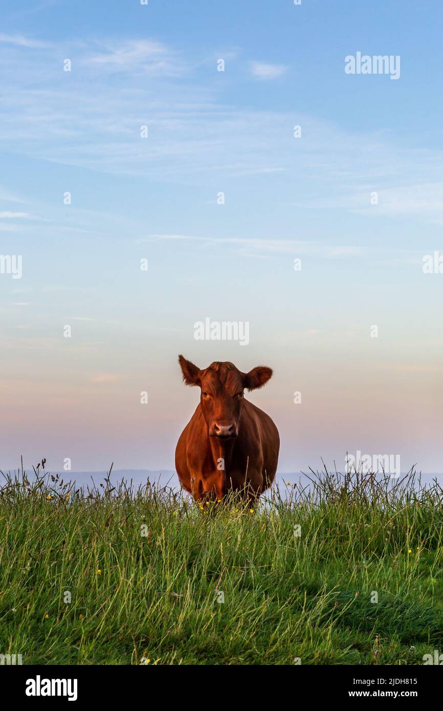 Camera beacon hi-res stock photography and images - Alamy