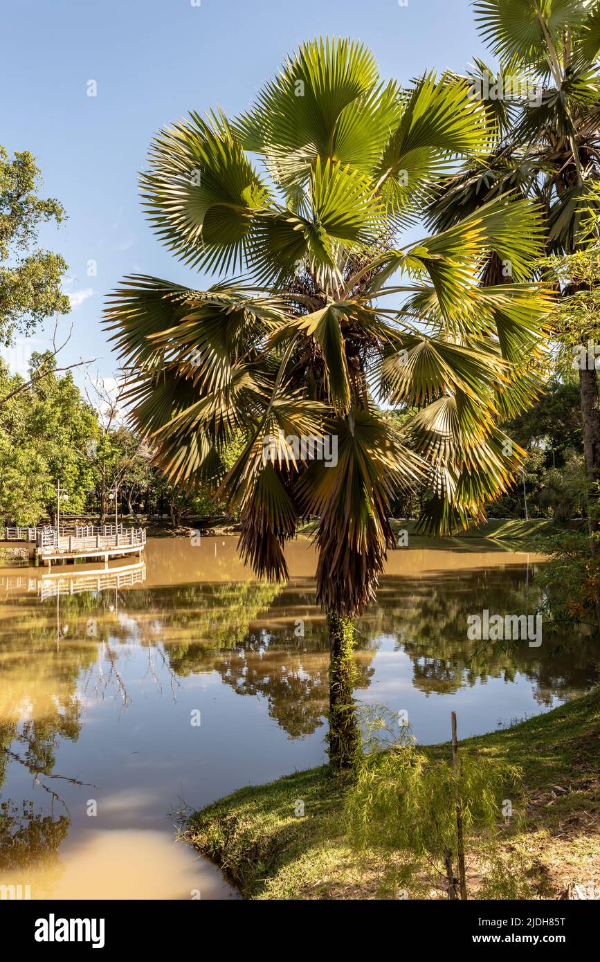 Labuan, Malaysia-June 08, 2021, Labuan Botanical Garden is one of many ...