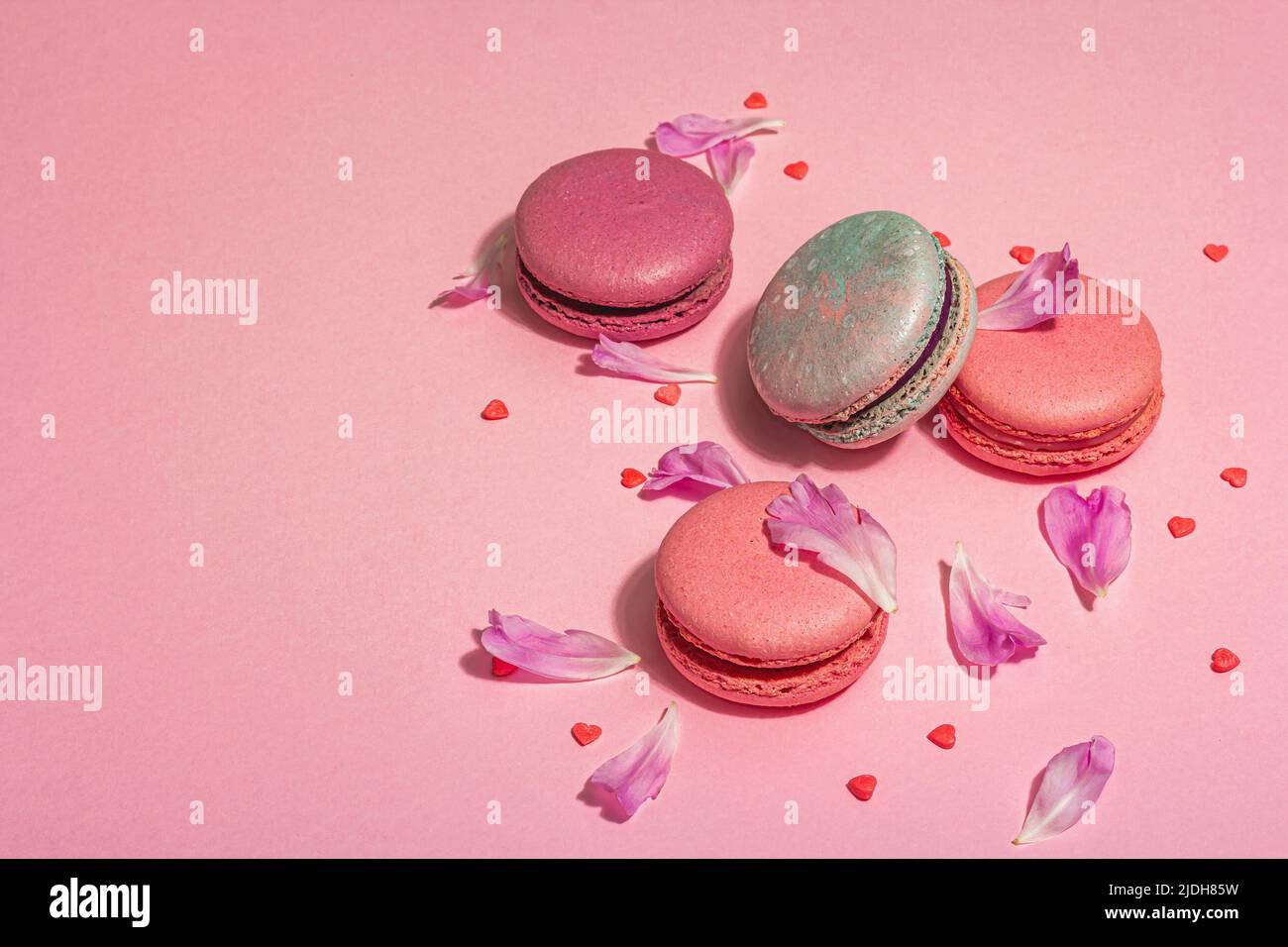 Macarons with peonies flower petals on pink background. Sweet dessert ...