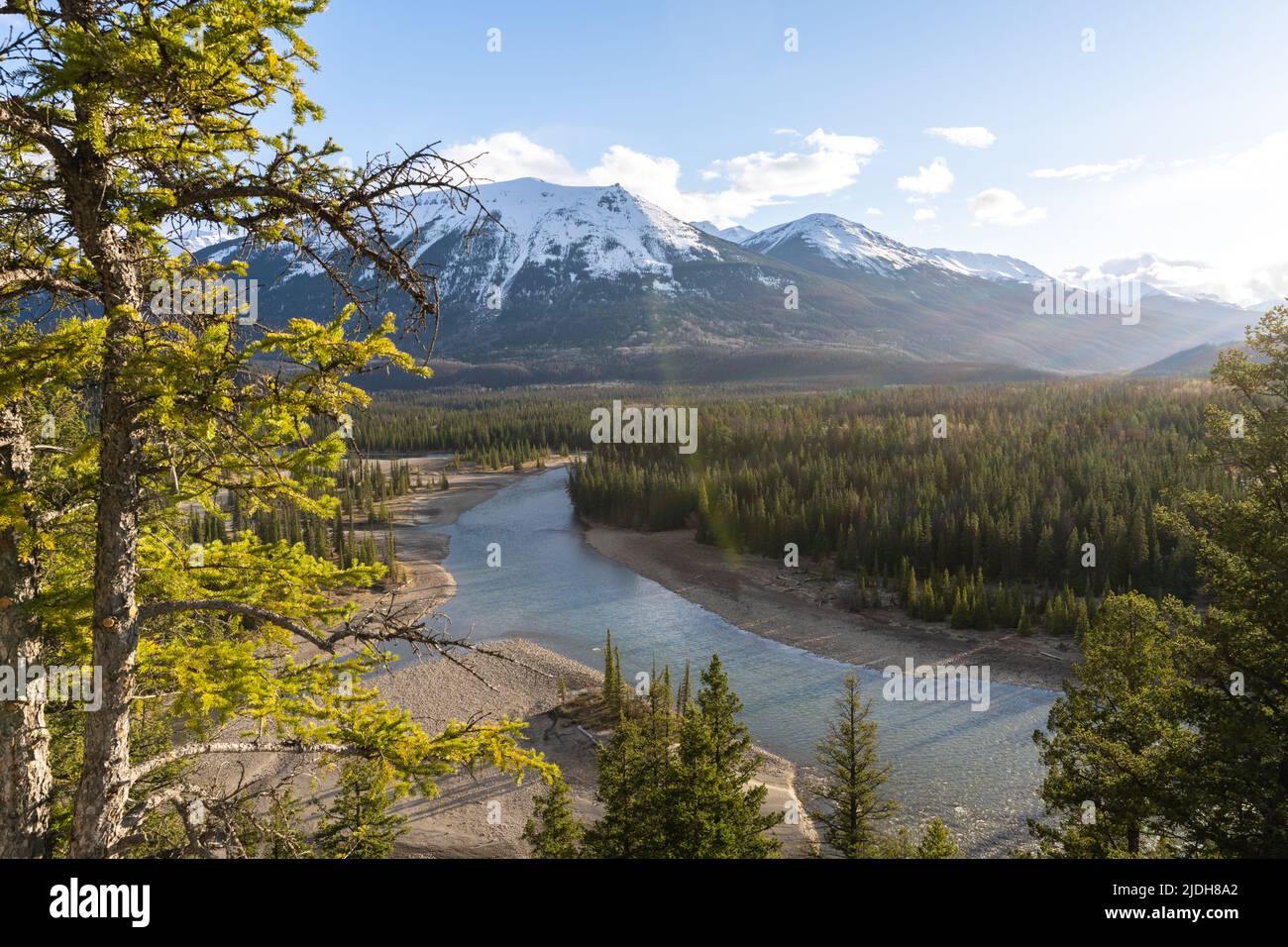 Canadian Rockies Jasper National Park landscape background. Athabasca ...