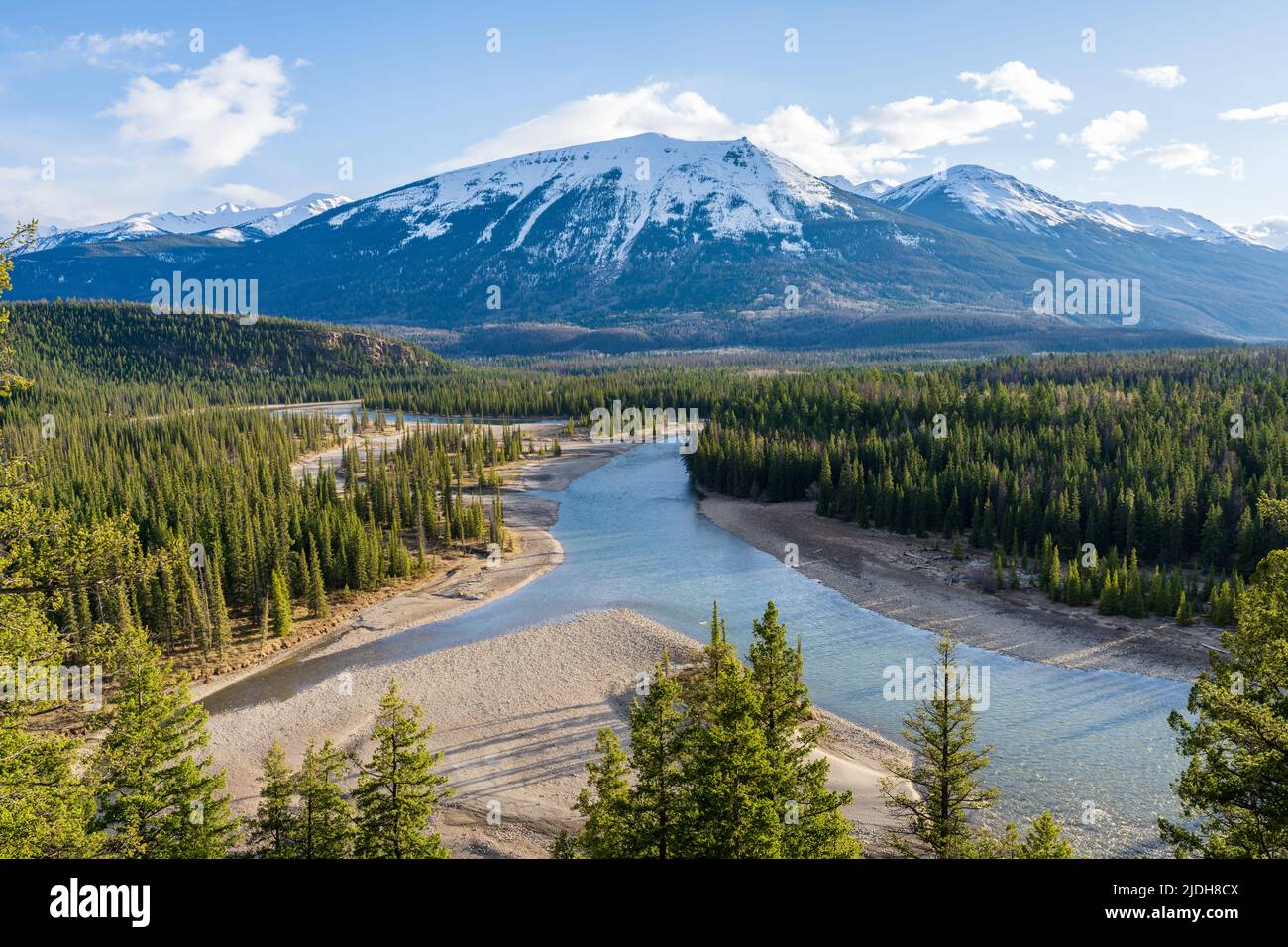 Canadian Rockies Jasper National Park landscape background. Athabasca ...