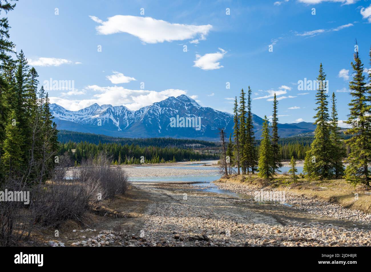 Jasper National Park Canadian Rockies landscape. Athabasca River forest ...