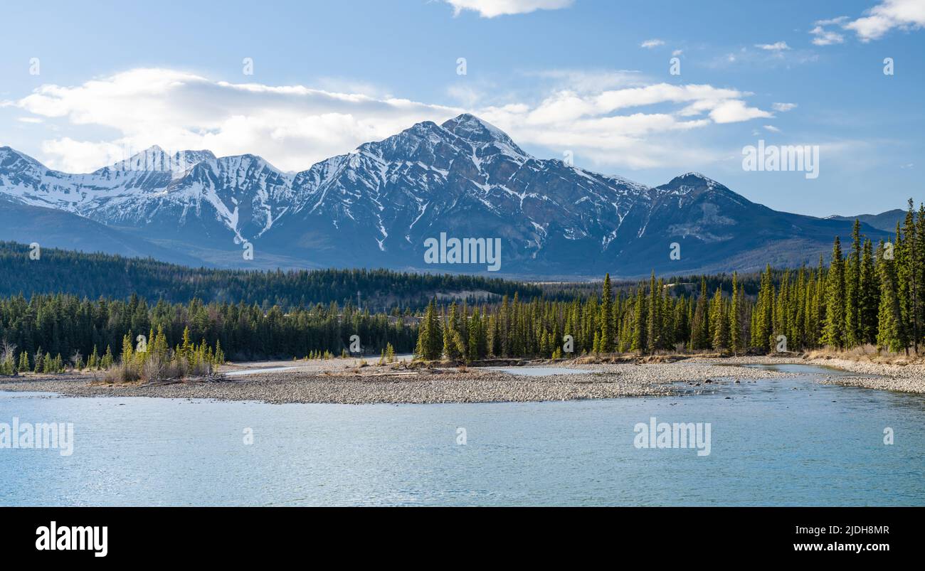 Jasper National Park Canadian Rockies landscape. Athabasca River forest ...