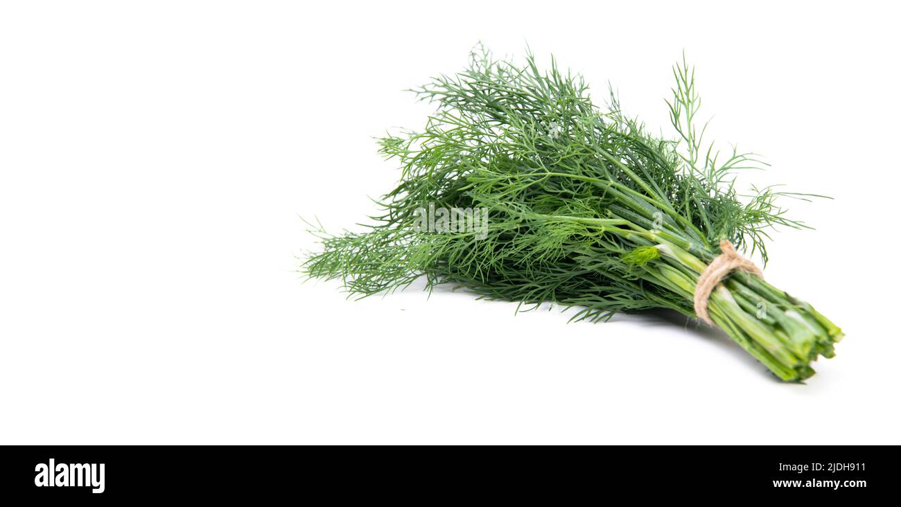fresh and ripe dill bunch isolated on white Stock Photo - Alamy