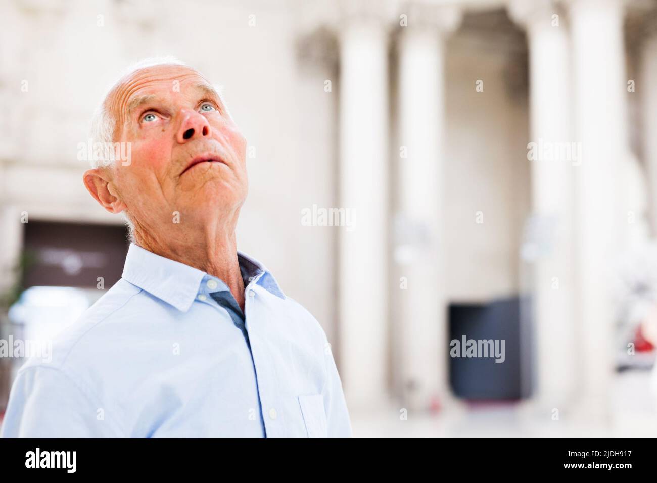 Man observing museum exposition Stock Photo - Alamy