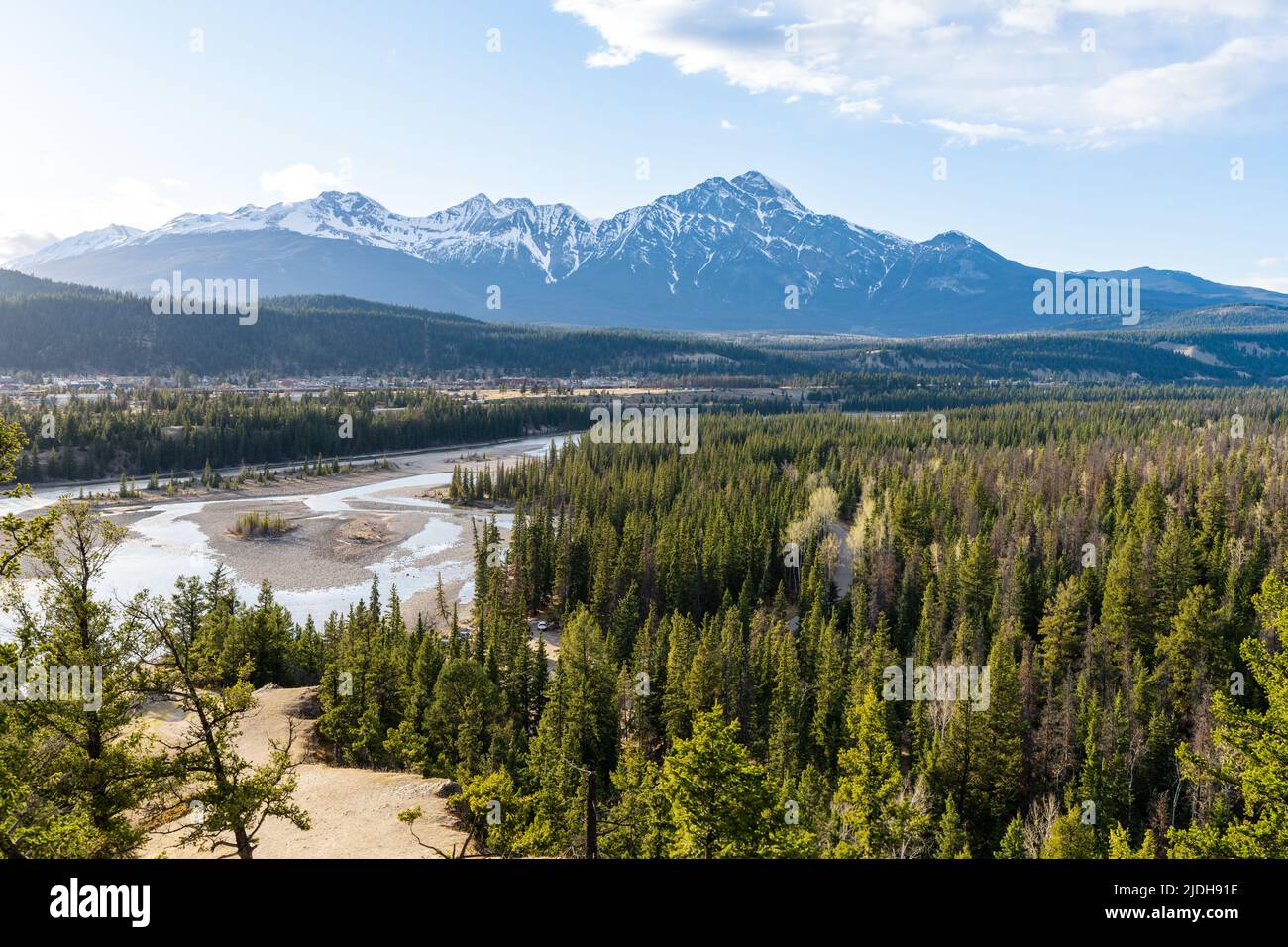 Jasper National Park Canadian Rockies landscape. Athabasca River forest ...