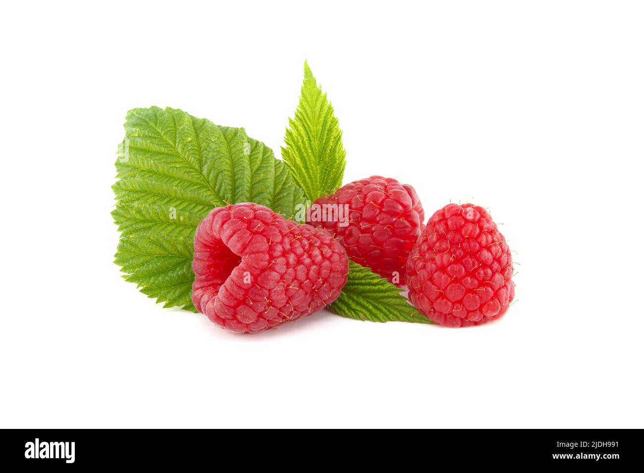 Red ripe raspberry berries with green leaves. Side view, isolated on ...