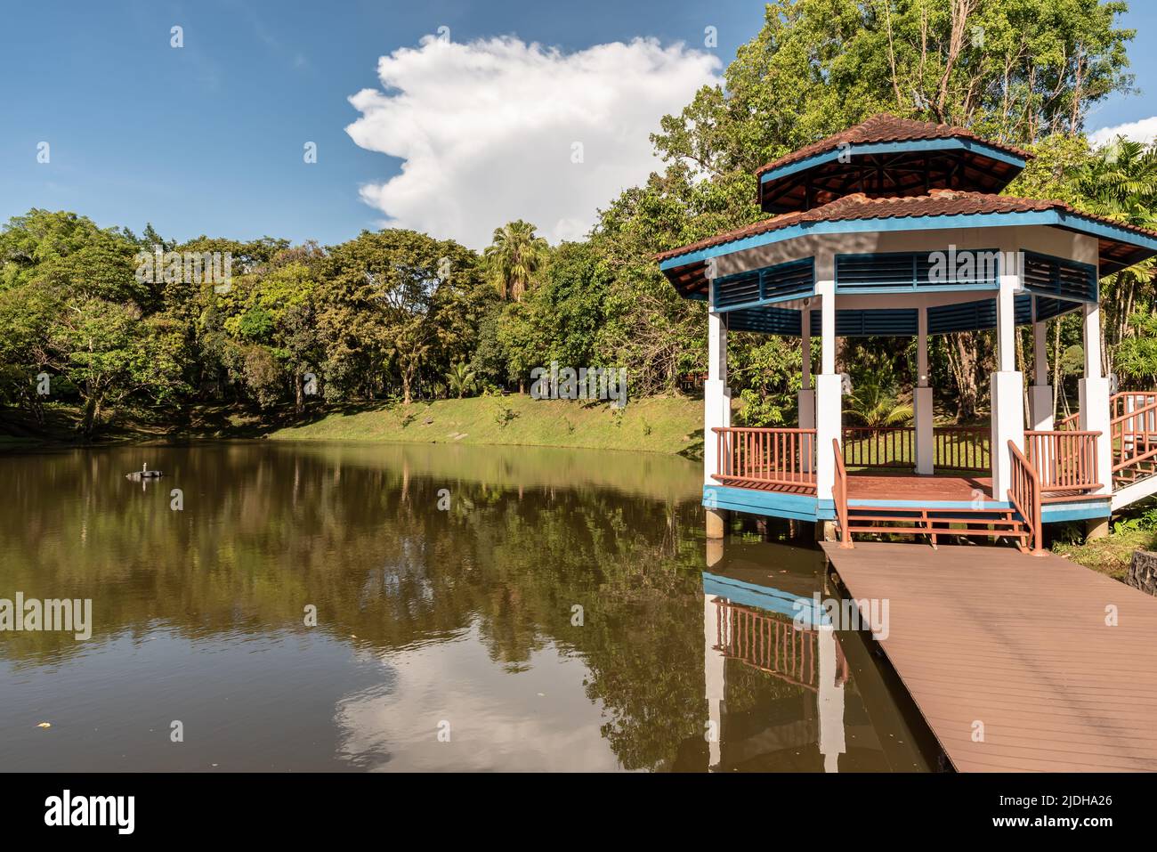 Labuan bird park malaysia hi-res stock photography and images - Alamy
