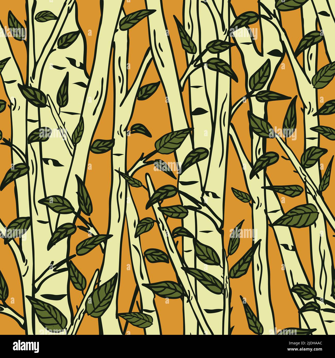 Birch Tree Forest Vector