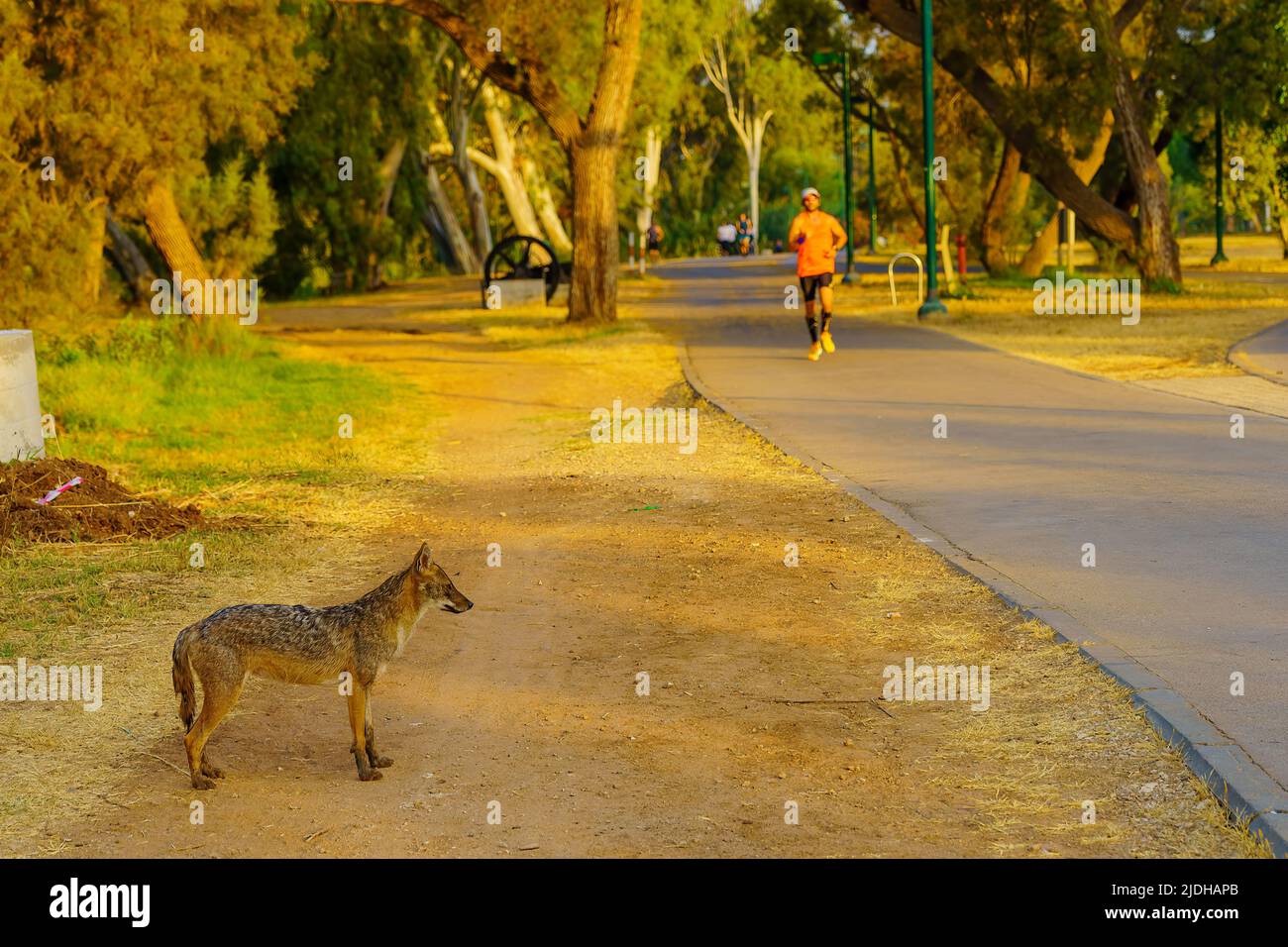 Israel urban park hi-res stock photography and images - Alamy