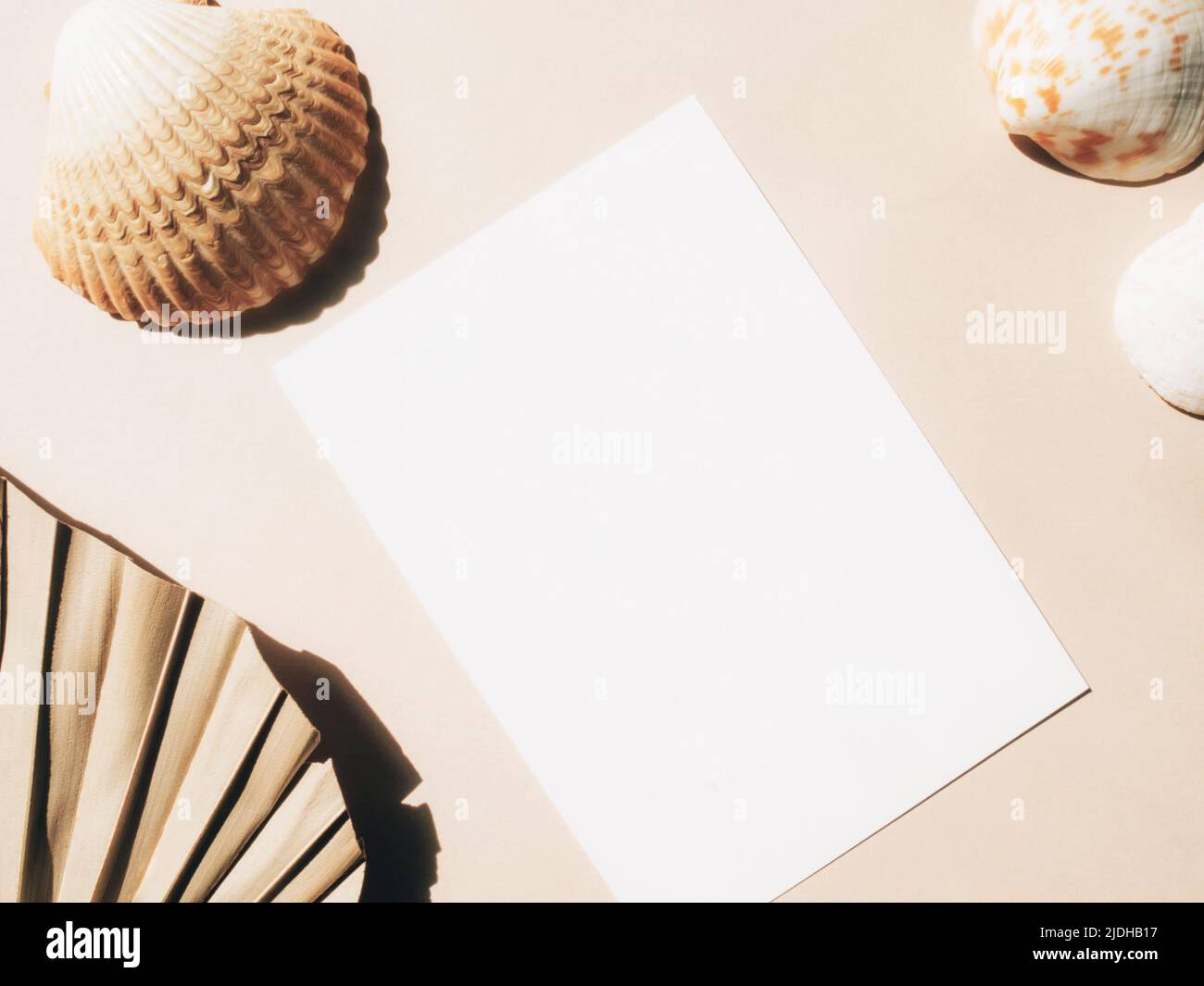 White blank card for text mockup, dry palm leaf and seashell on beige ...