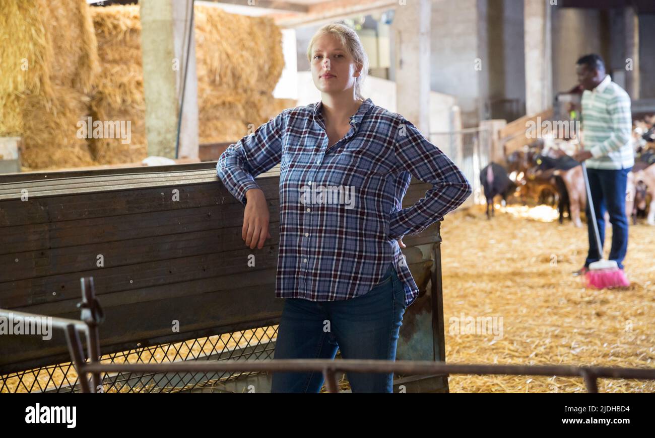 Two employees working in livestock barn Stock Photo - Alamy