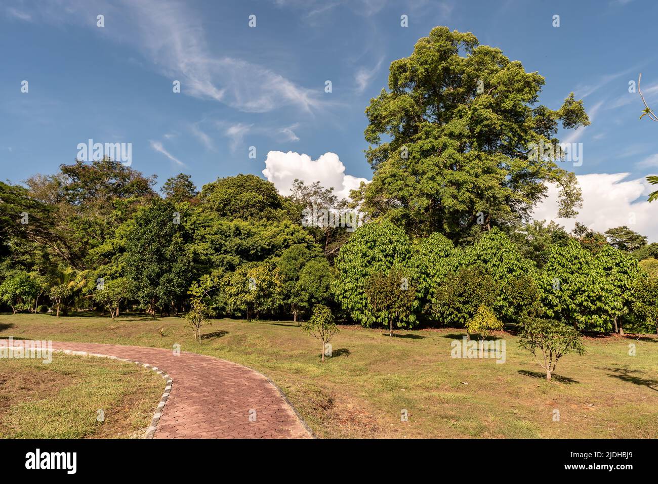 Labuan bird park malaysia hi-res stock photography and images - Alamy