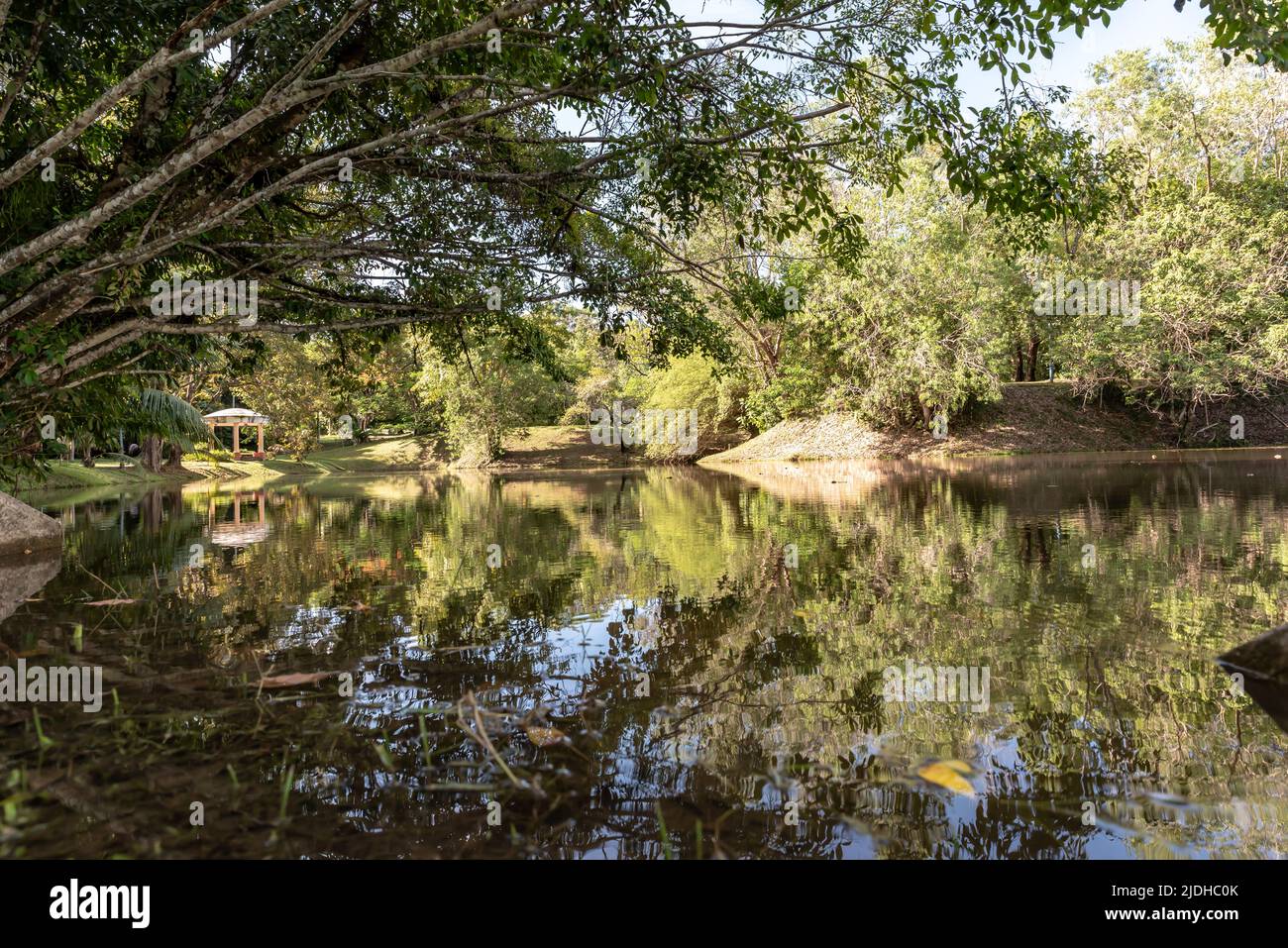 Labuan bird park malaysia hi-res stock photography and images - Alamy