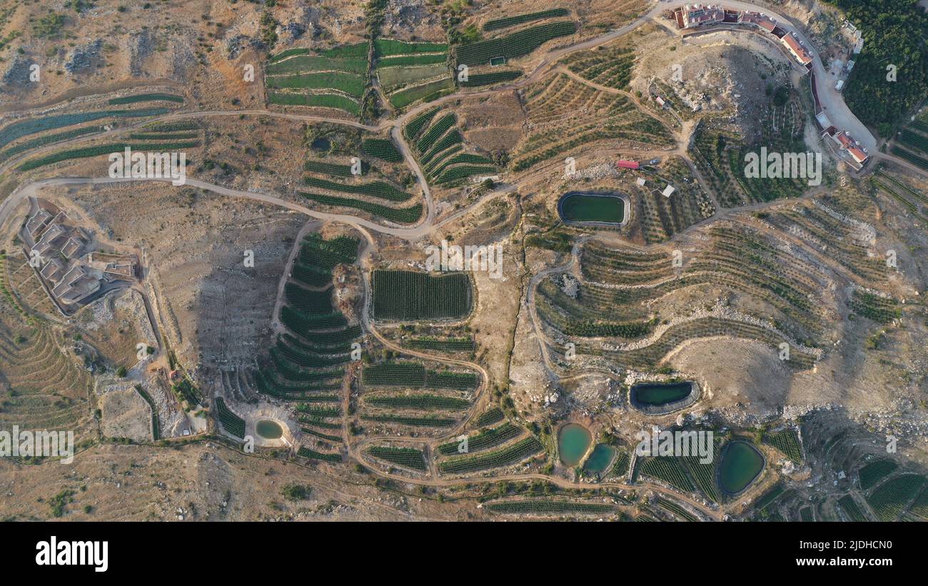 Green house crops middle east hi-res stock photography and images - Alamy