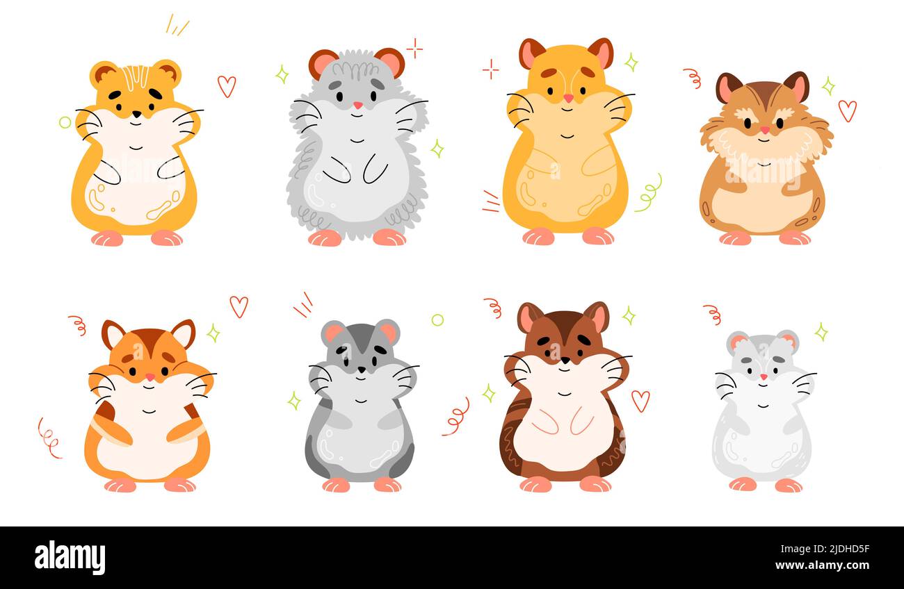 Hamster breeds. Cute little pets, different types, home rodents, funny ...