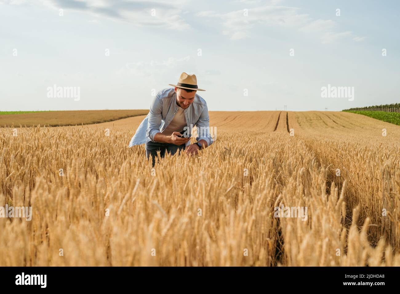 Happy farmer using mobile phone while standing in his growing wheat ...