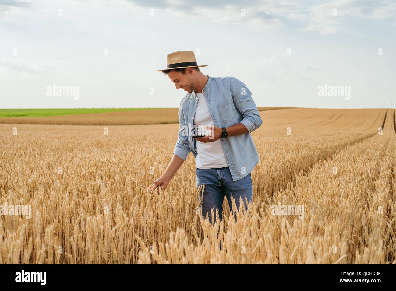 Happy farmer using mobile phone while standing in his growing wheat ...