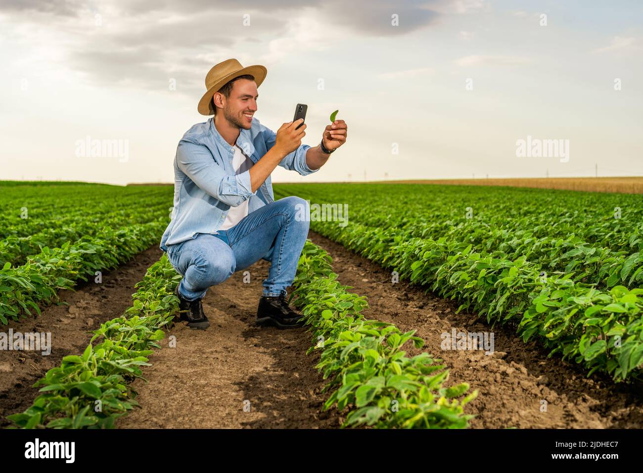 Happy farmer using mobile phone while spending time in his growing ...