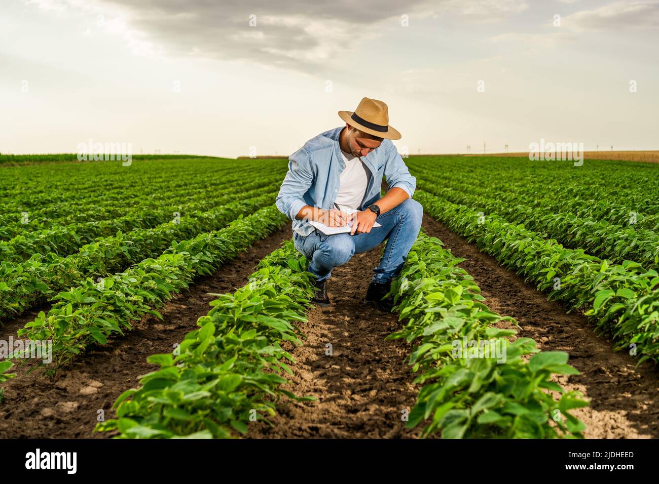 Farmer in soybean field writing hi-res stock photography and images - Alamy