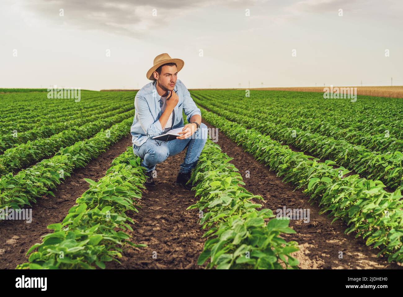Farmer problems hi-res stock photography and images - Alamy