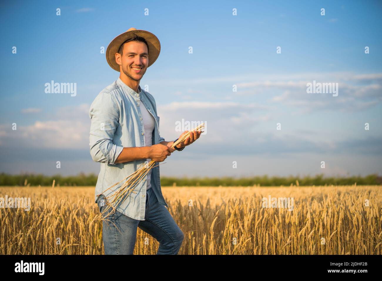 Happy farmer is standing in his growing wheat field and examining crops ...