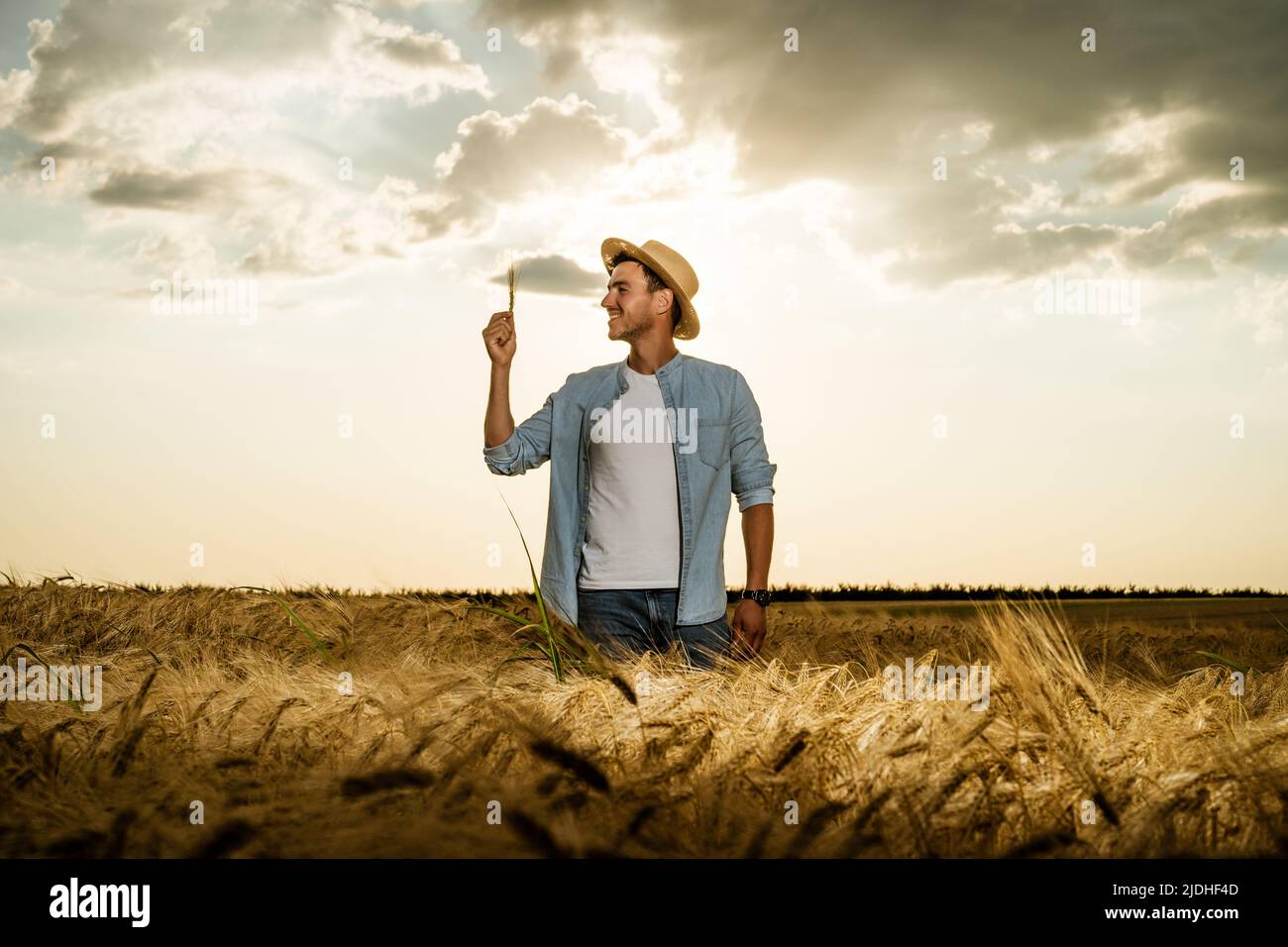 Happy farmer is standing in his growing barley field and examining ...