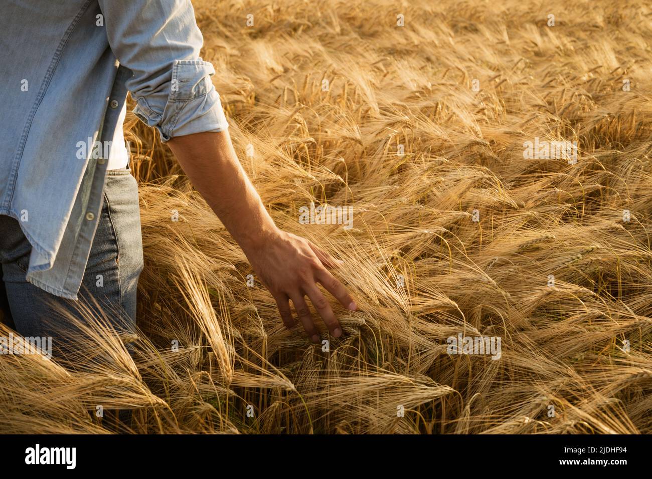 Holding barley hi-res stock photography and images - Alamy