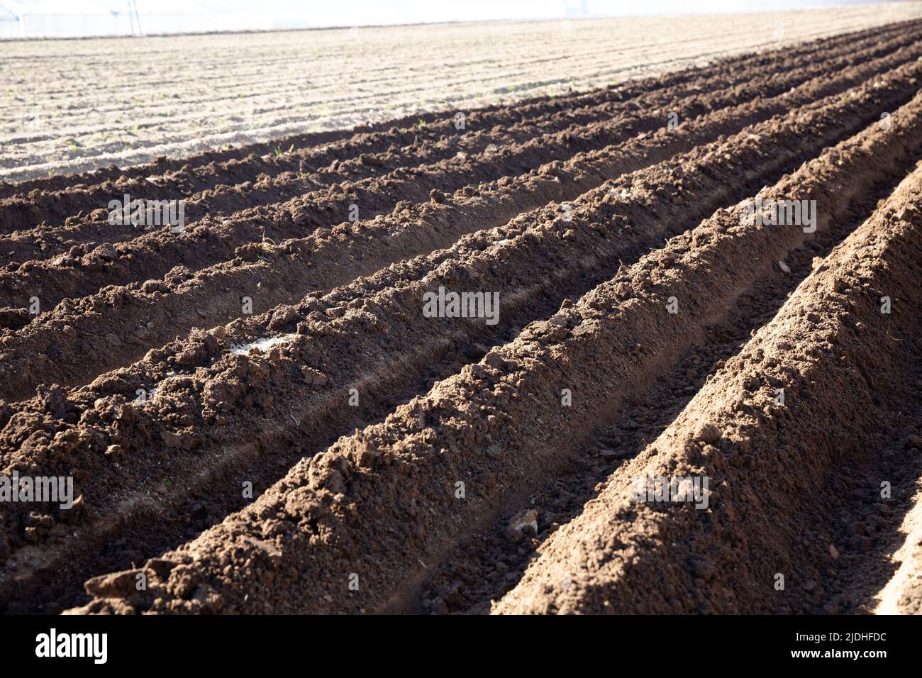 Furrows on ploughed field Stock Photo - Alamy