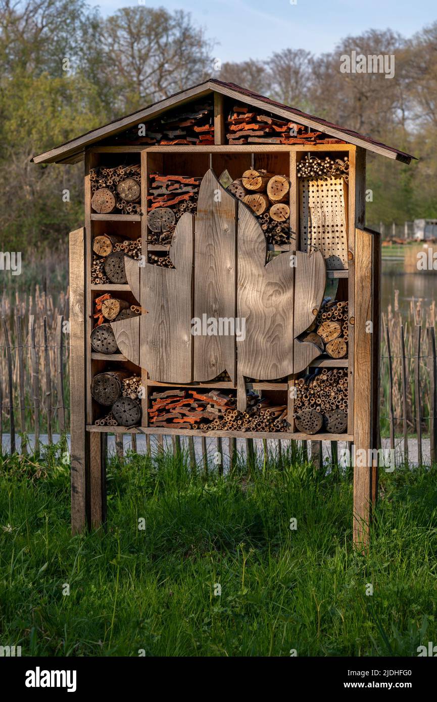 Insect house in the garden. Bug hotel at the park with plants and ...