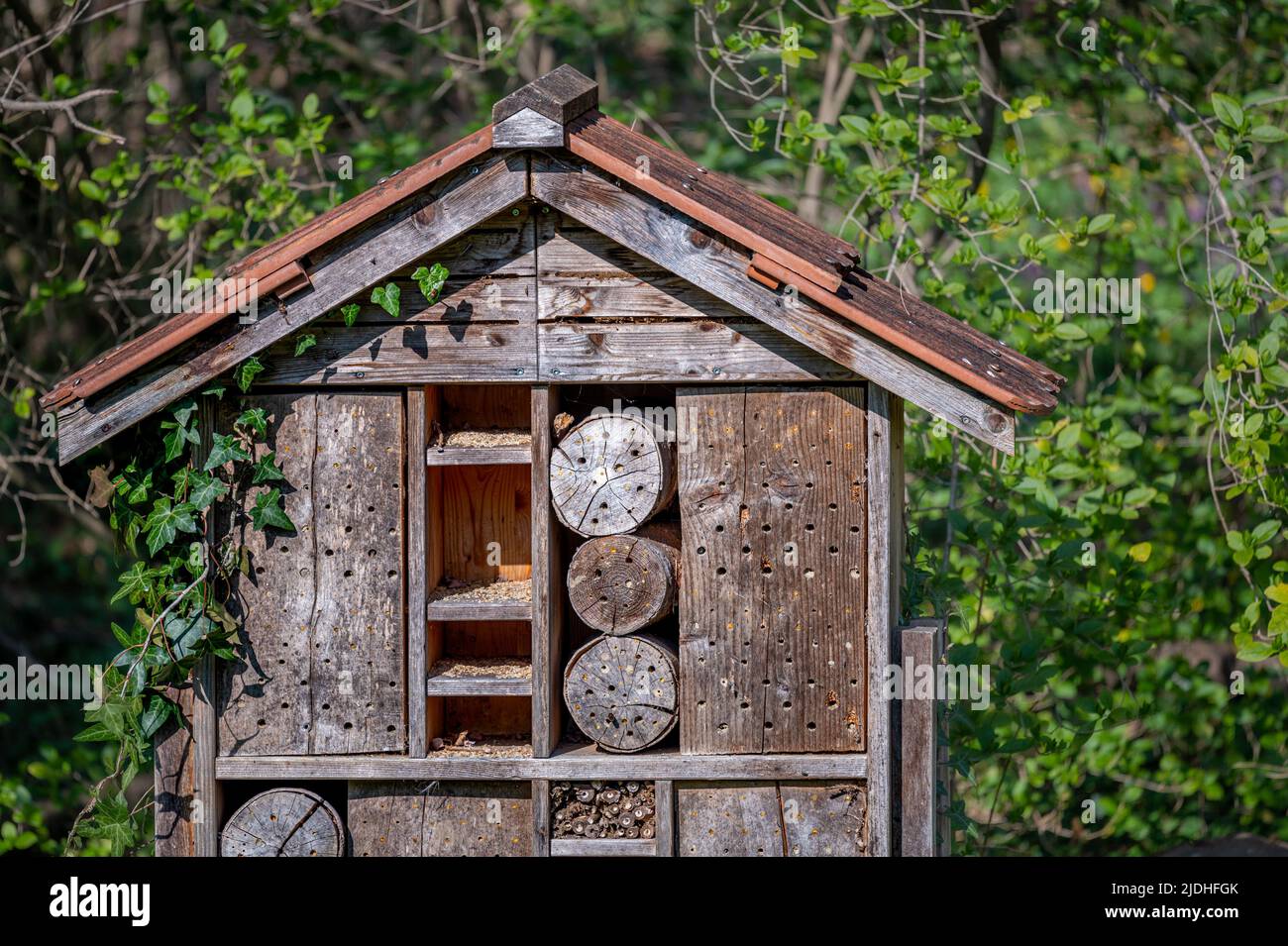 Grass roof cabin flowers hi-res stock photography and images - Alamy